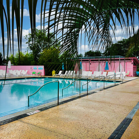 Paradiso | Dine + Swim + Vibe